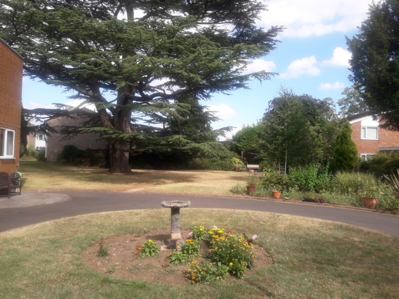 Stonewater available now properties